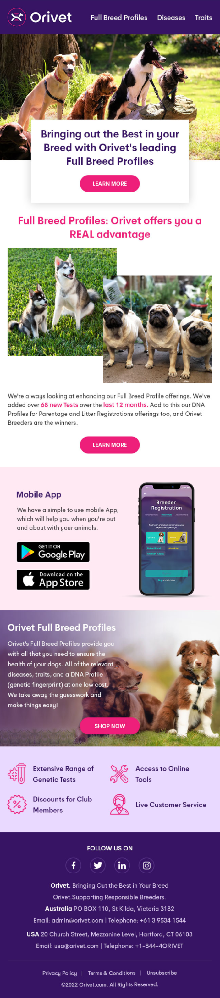 Best Email Marketing Template Samples | Email Templates