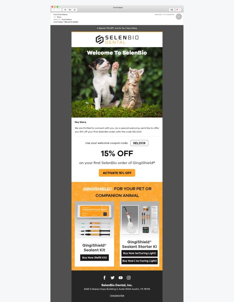26 Best Email Marketing Examples To Inspire You | InboxArmy