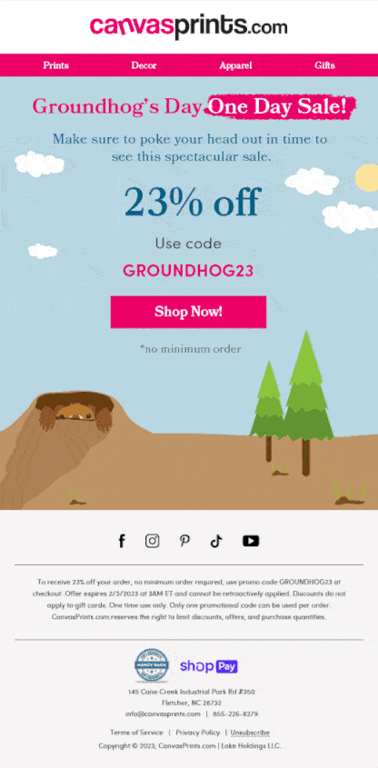 30 Amazing Email Marketing Campaigns (With Examples)
