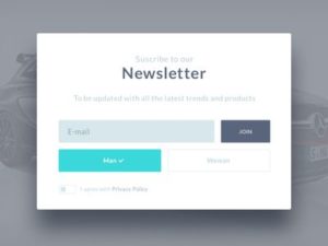 25 Newsletter Signup Form (+Examples,Tips & Benefits)